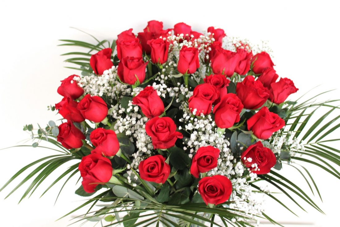 Ramo 36 Rosas | Comprar Rosas Baratas Online - Floristeria Tornasol